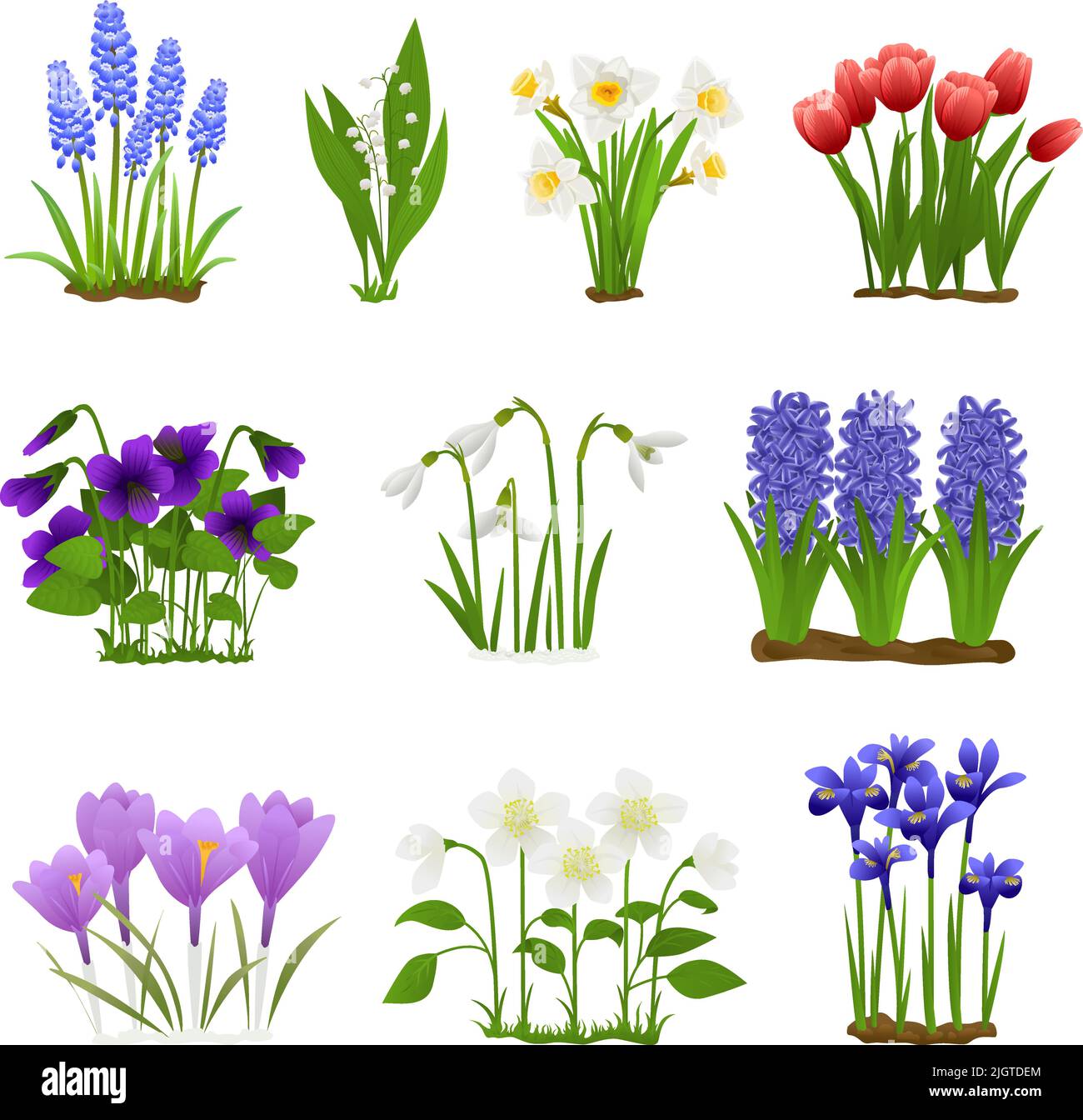 Spring flowers flat set of isolated icons with images of floral ...