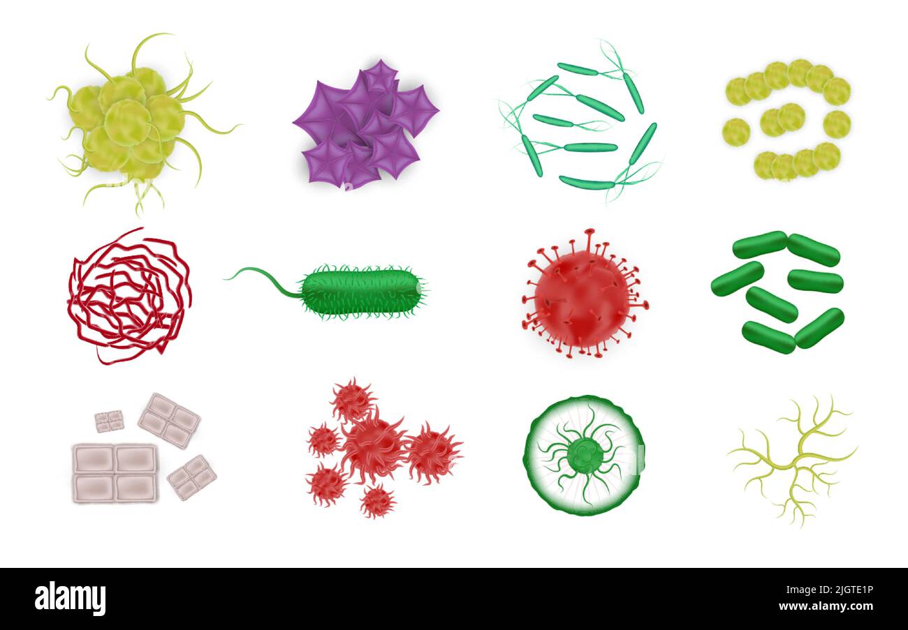 Bacteria shapes set with realistic images of microbes colorful icons of ...