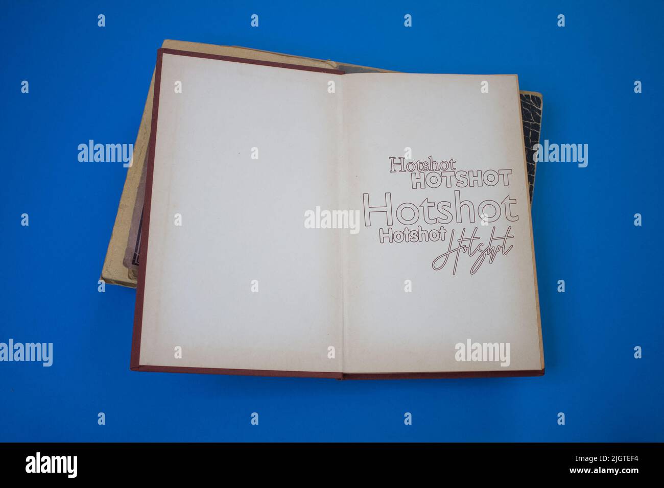 Hotshot word in opened book with vintage, natural patterns old antique ...