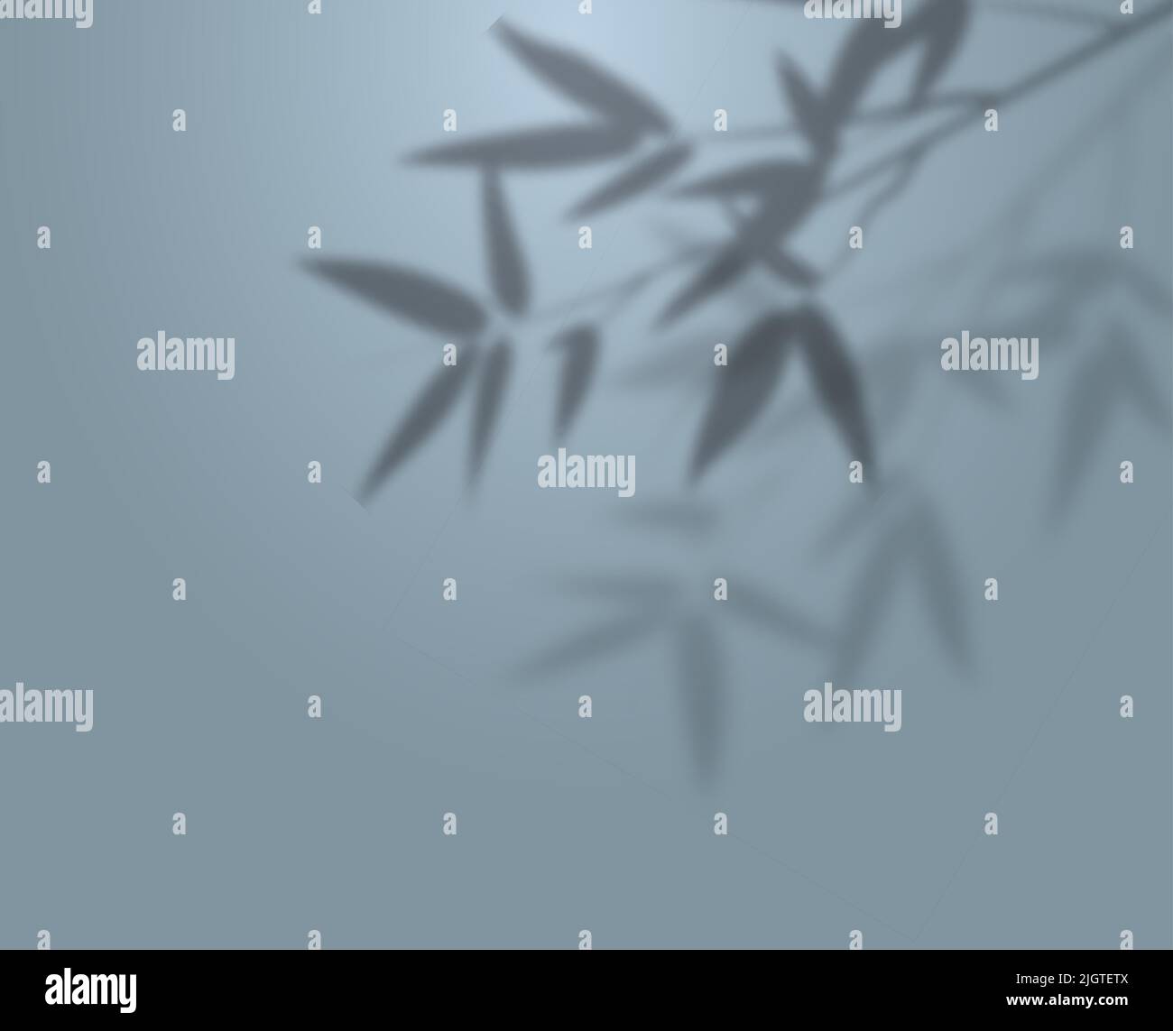 Overlay shadow of bamboo branch. Leaves of plants reflection on blue ...