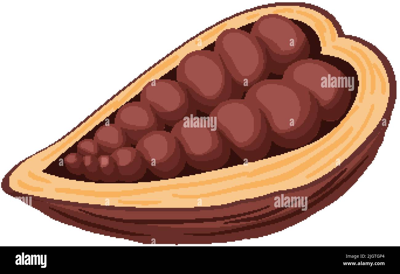 cocoa bean cartoon vector Stock Vector Image & Art - Alamy