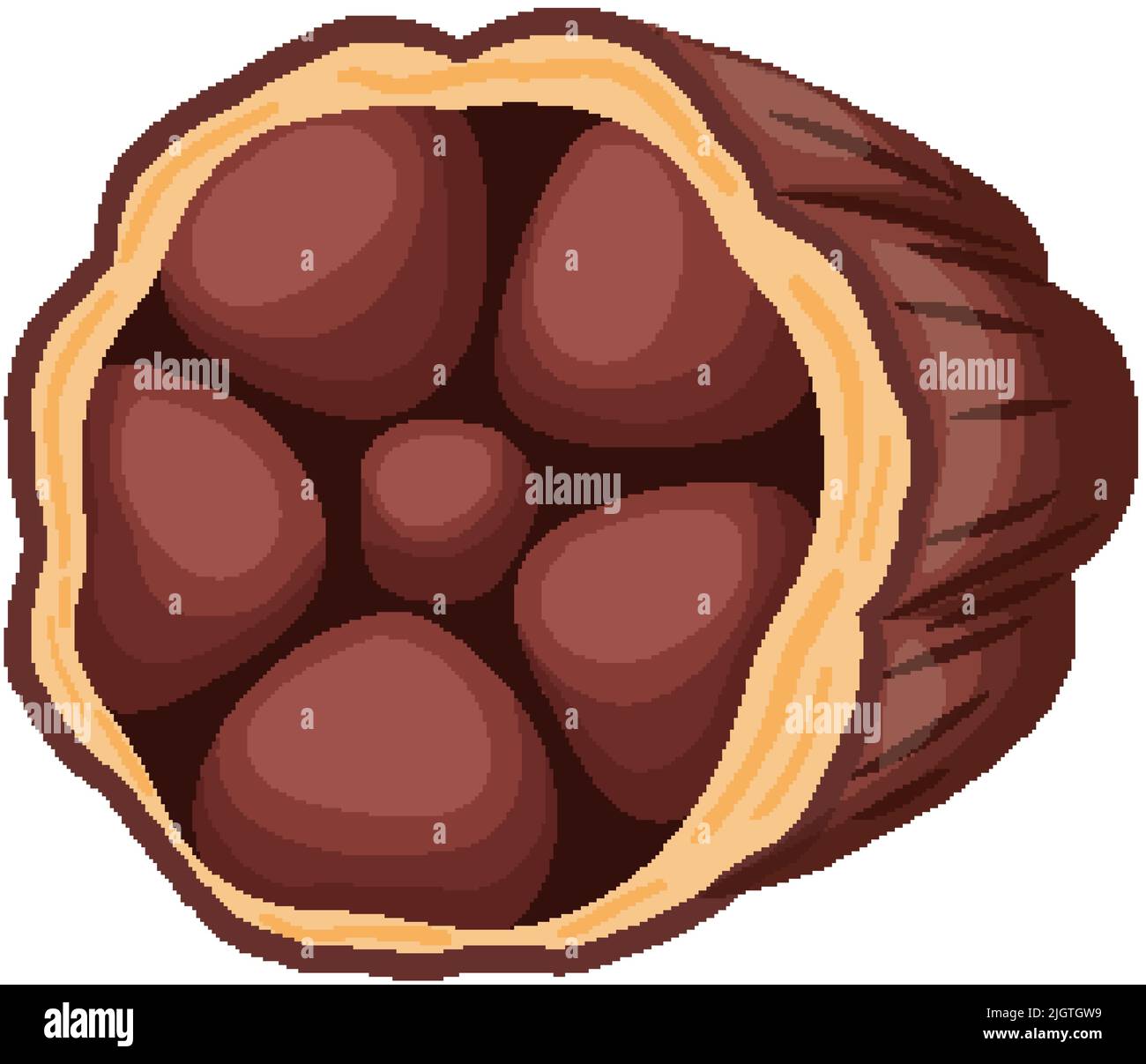 cocoa bean cartoon vector Stock Vector Image & Art - Alamy
