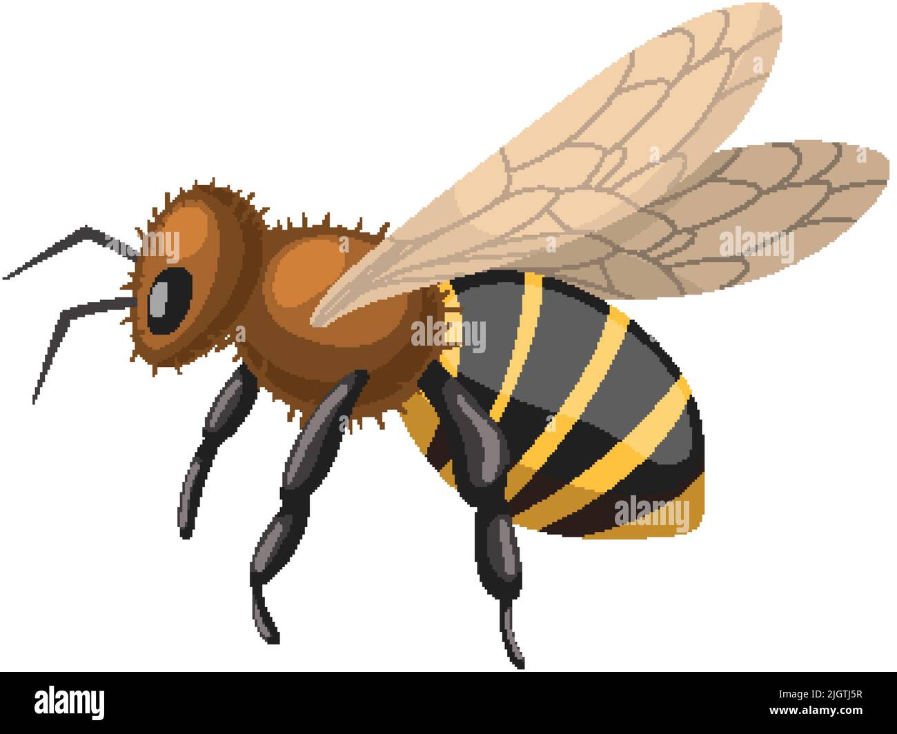 Beehive detail beehive honey nature Stock Vector Images - Alamy