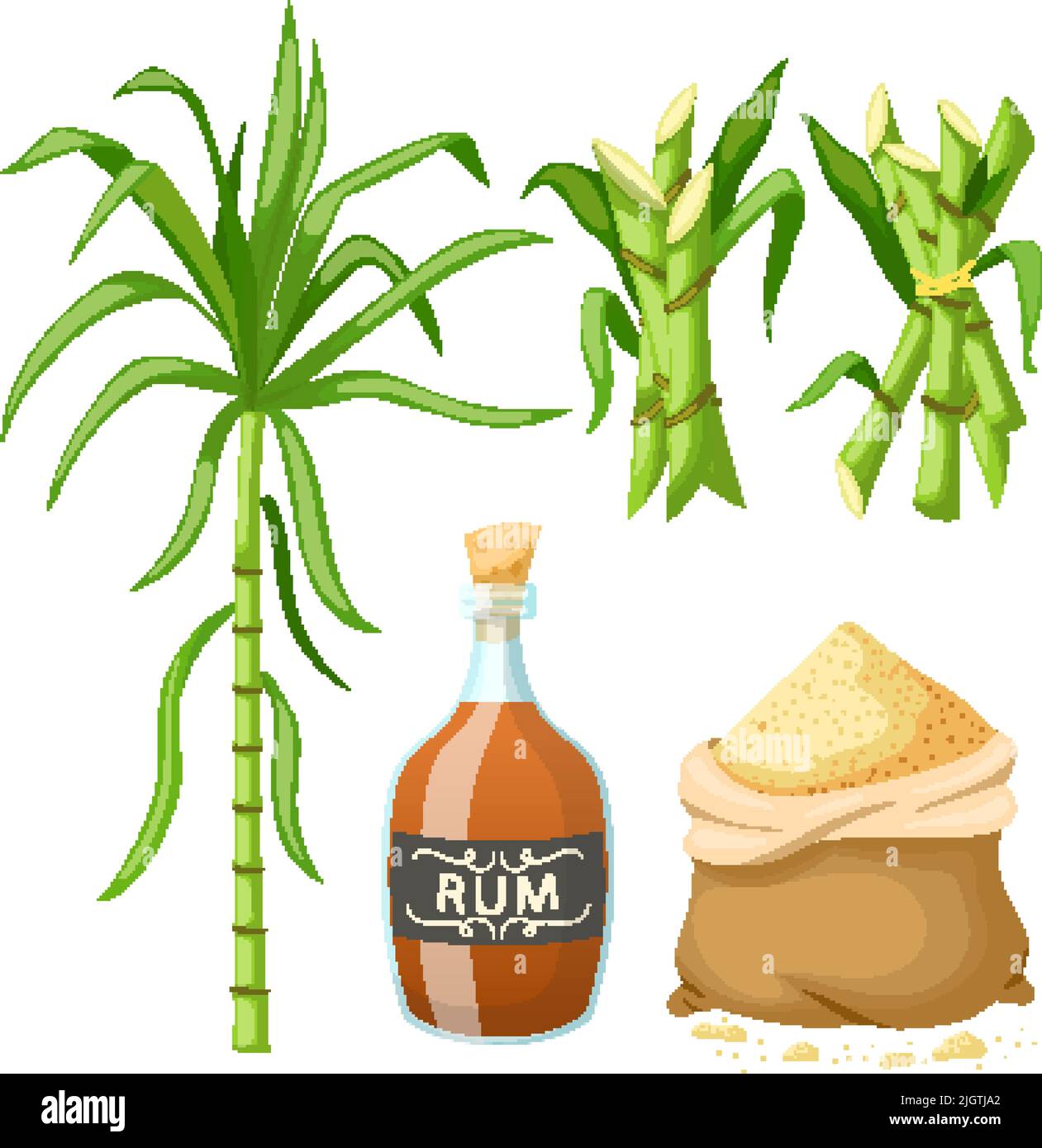 Sugar cane plantation brazil Stock Vector Images - Alamy