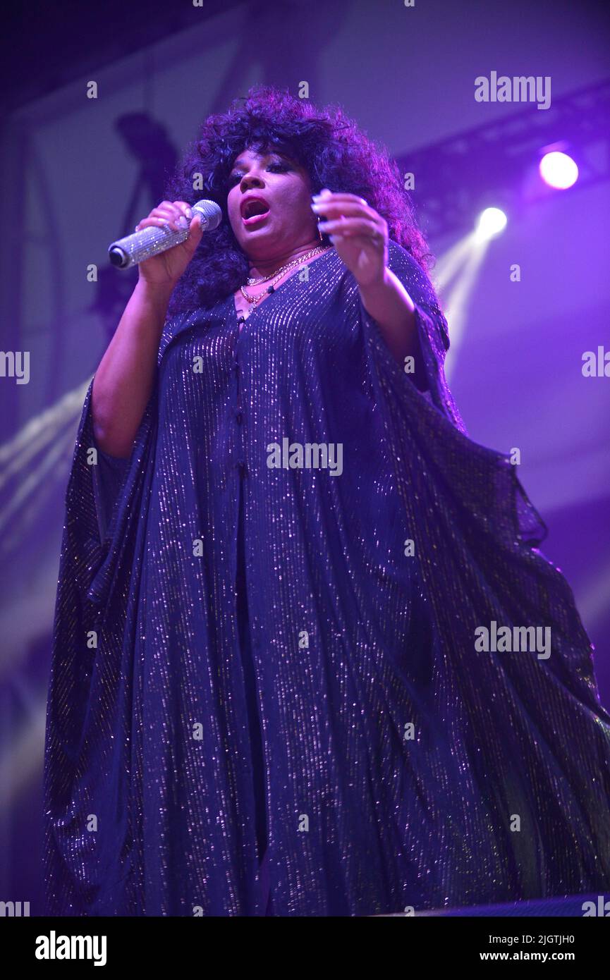 Syleena Johnson 2011