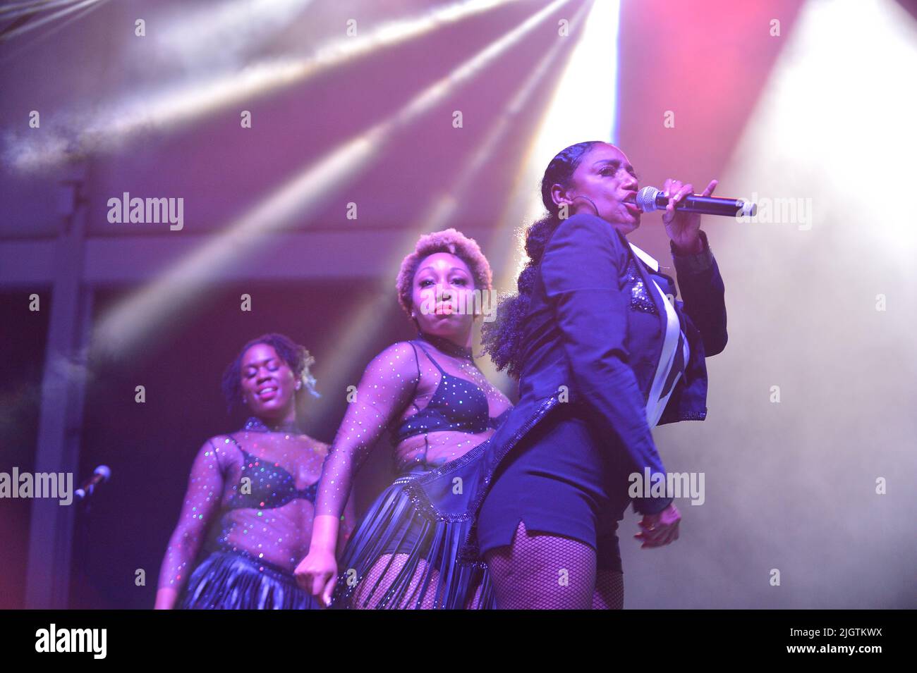 MIRAMAR, FL - JULY 10: Karyn White performs live on stage during The ...