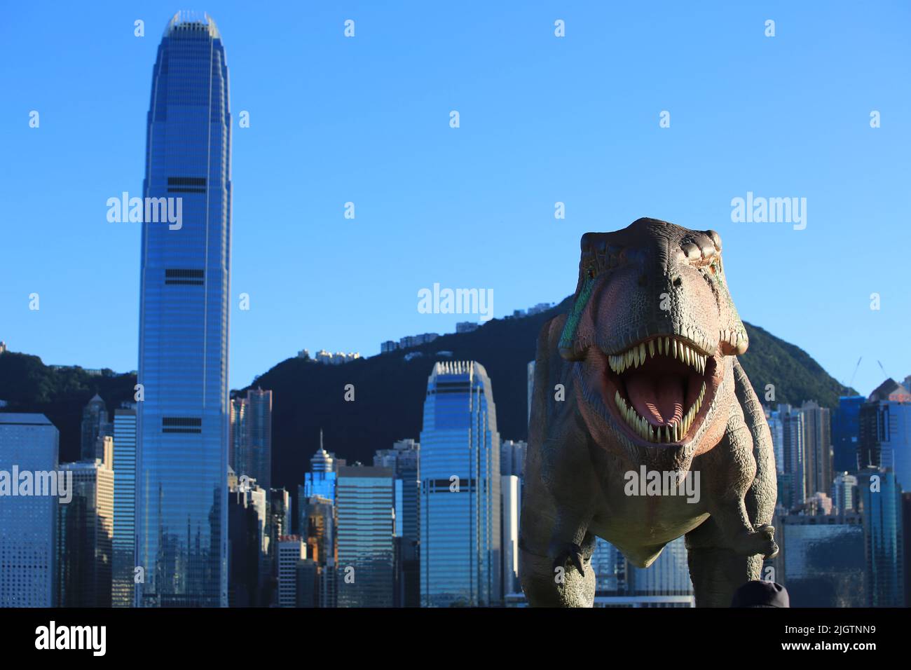 Dragon display at outdoor in hong kong. one of the biggest dragon ...