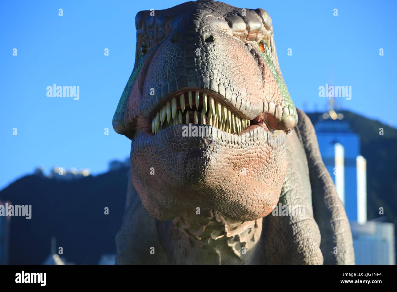 Dragon display at outdoor in hong kong. one of the biggest dragon ...