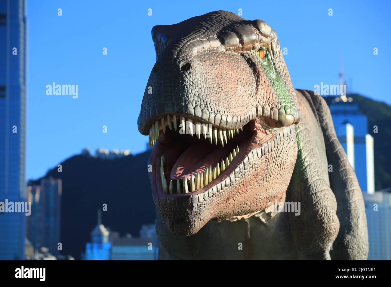 Dragon display at outdoor in hong kong. one of the biggest dragon ...