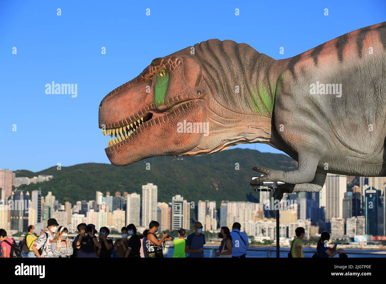 Dragon display at outdoor in hong kong. one of the biggest dragon ...