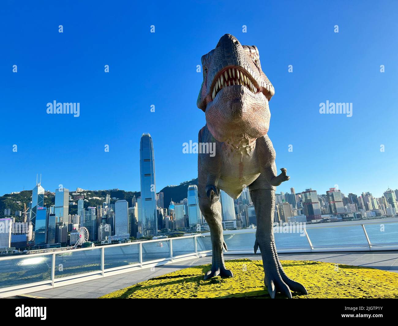 Dragon display at outdoor in hong kong. one of the biggest dragon ...