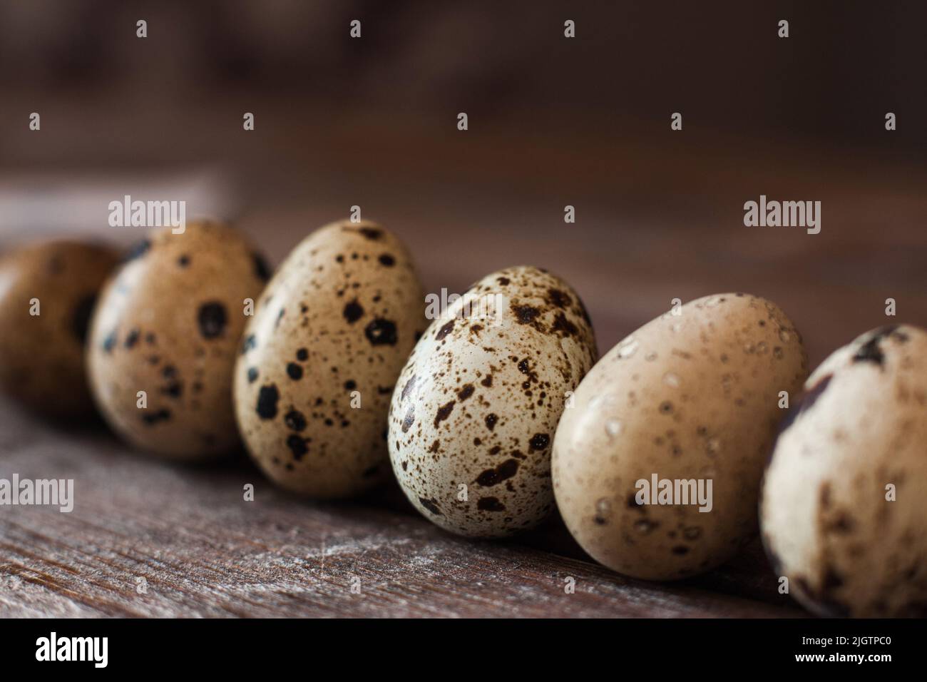 Quail eggs line close up, organic food background Stock Photo - Alamy