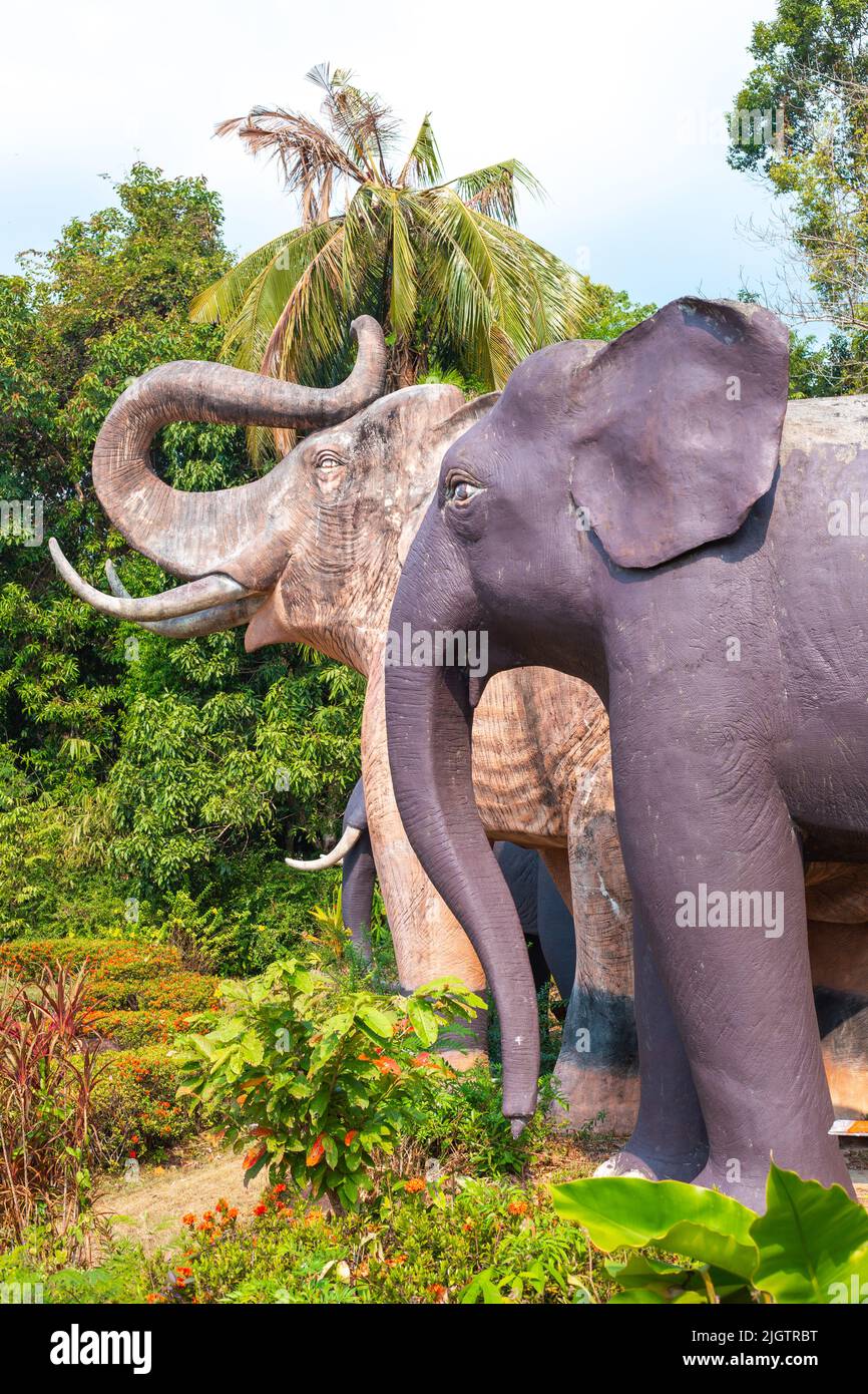 Elephants with trunk raised hi-res stock photography and images - Alamy