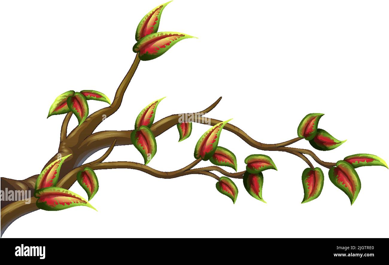 Tree branch isolated on white background illustration Stock Vector ...