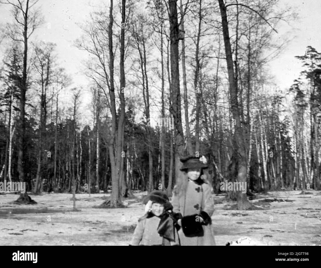 Photography from the Lithander Album family Stock Photo - Alamy