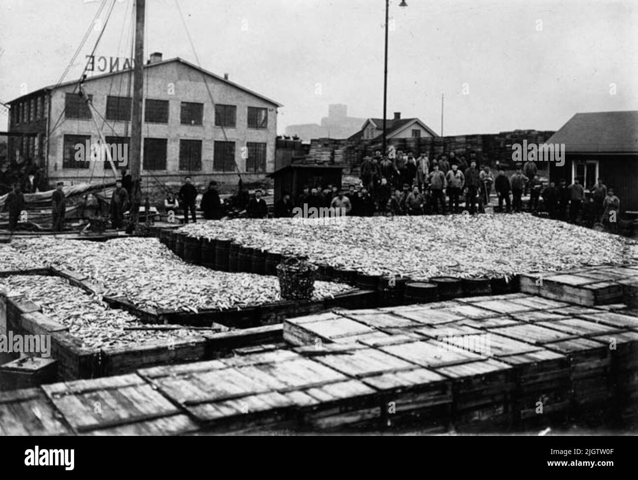 Written on the back: Marstrand, Koön, Siller Stock Photo - Alamy