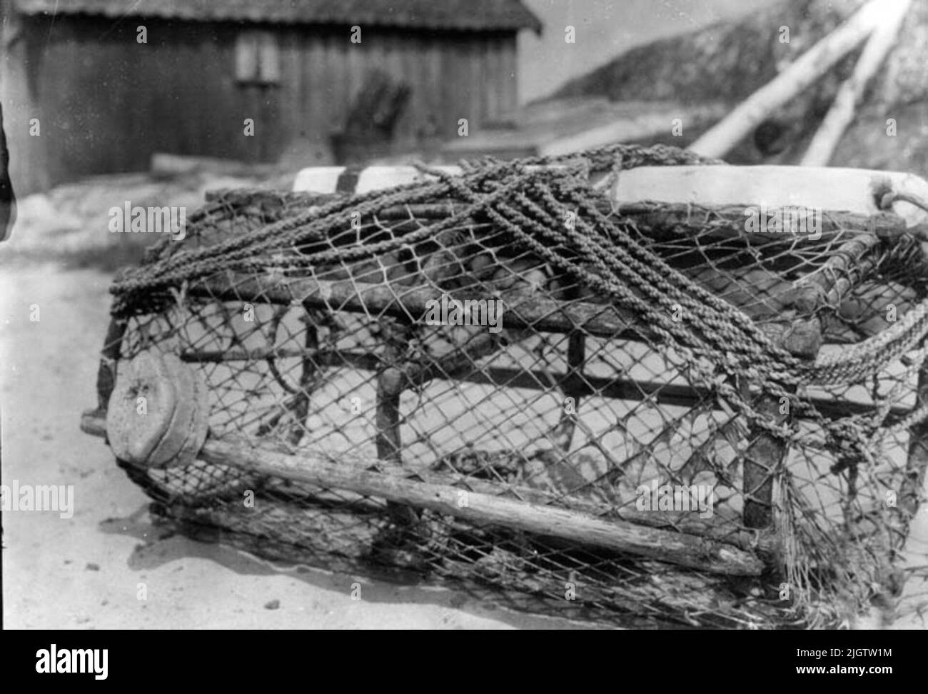 Yellow green colour Black and White Stock Photos & Images - Alamy