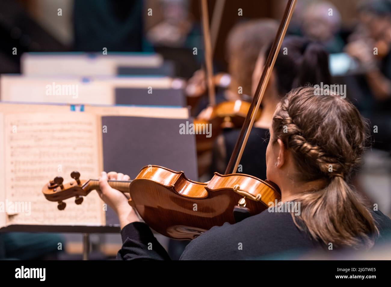 a violinist plays at a concert in the Philharmonic Stock Photo - Alamy