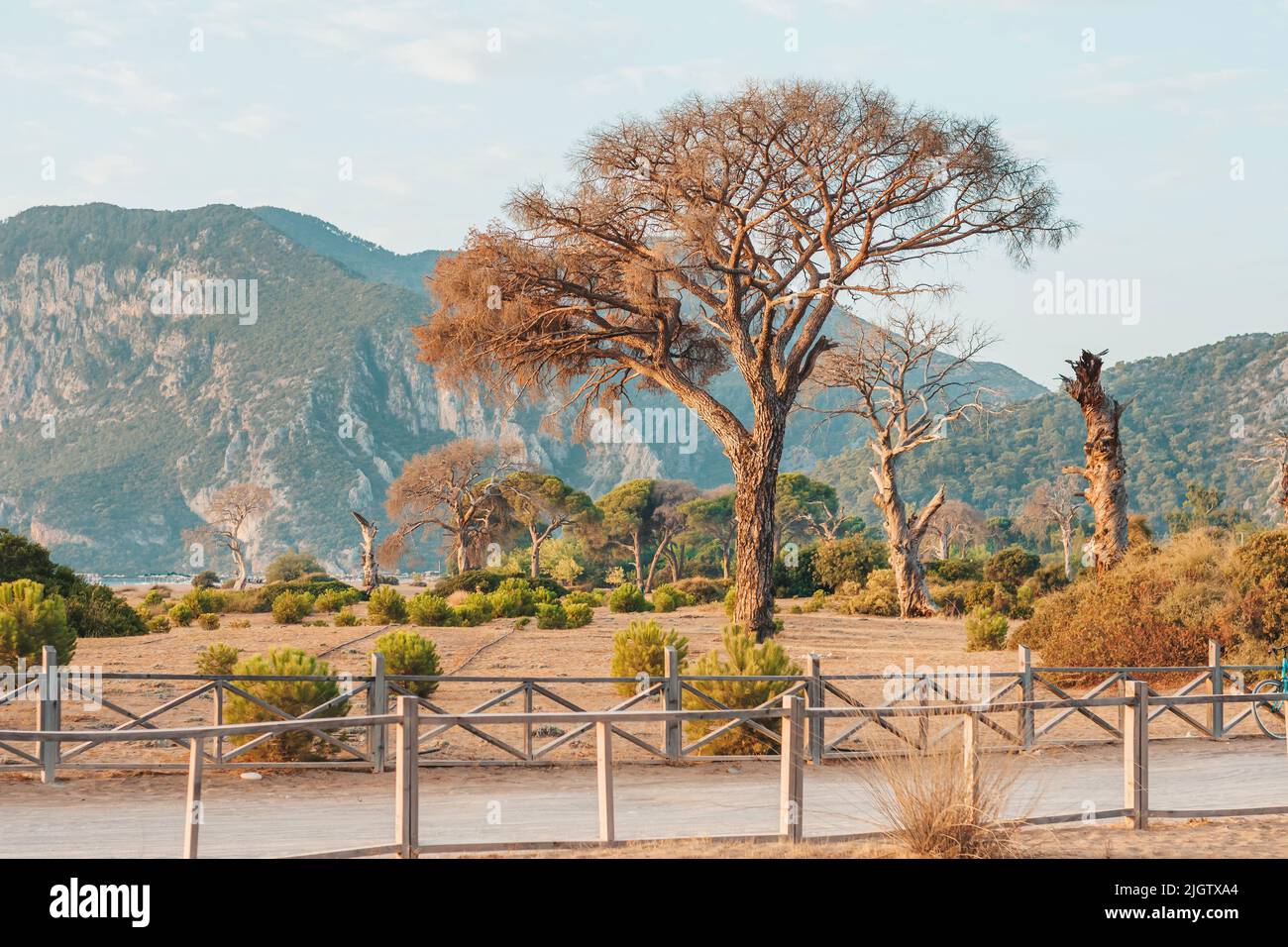 Costline aerial hi-res stock photography and images - Alamy