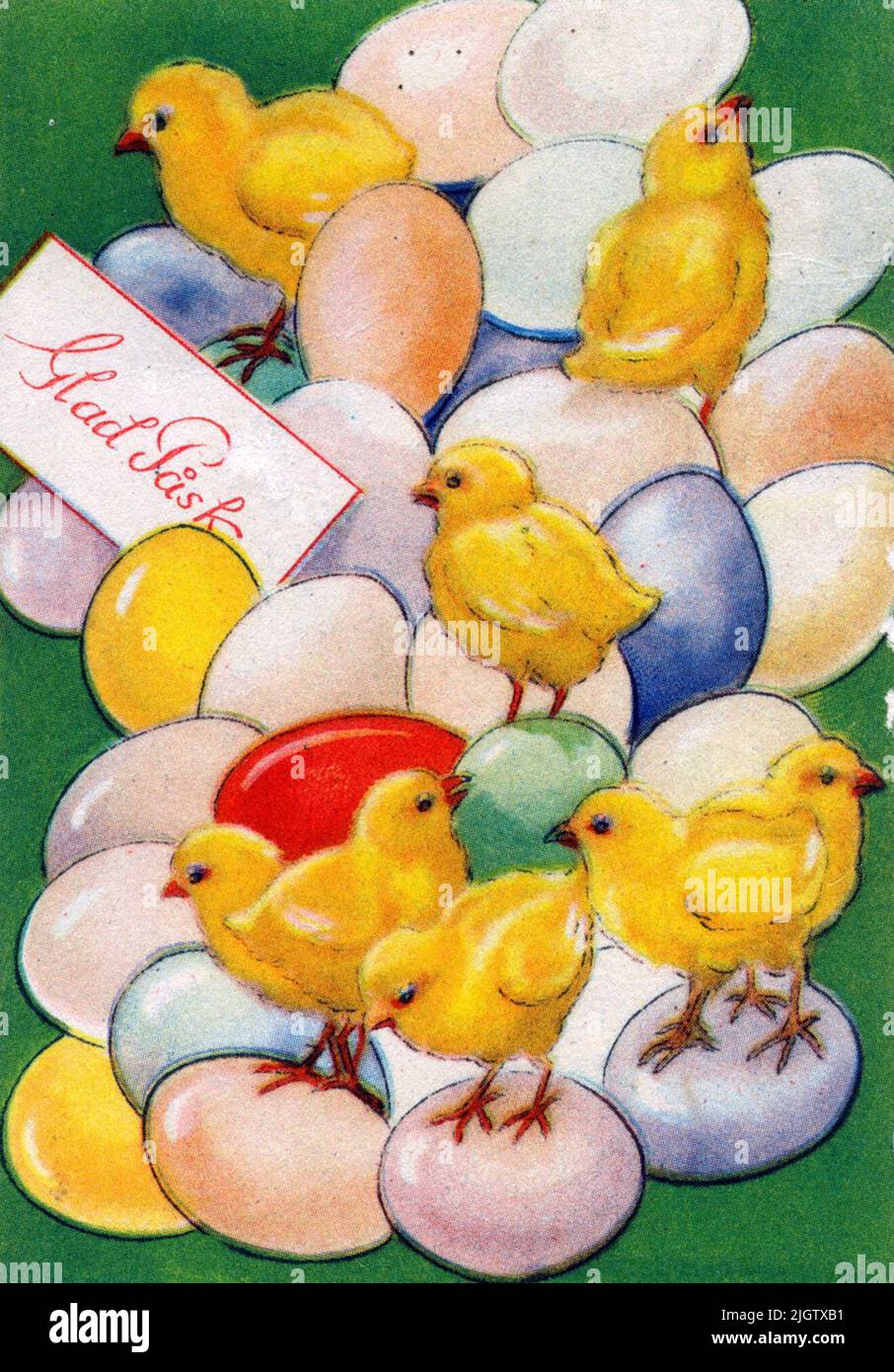 Eight chickens hi-res stock photography and images - Alamy