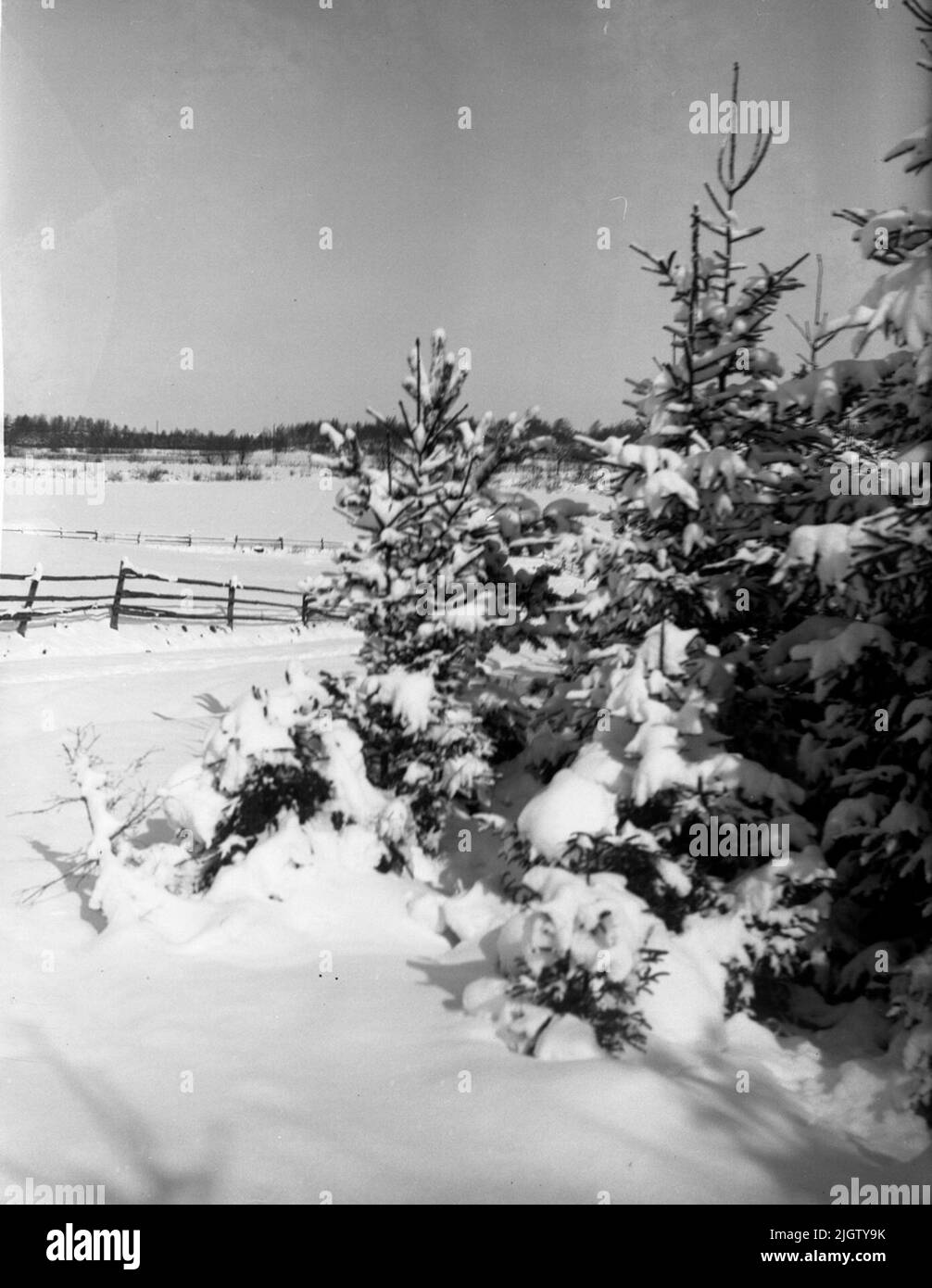 Sweden, Bohuslän, Västra Götaland, Munkedal, Foss, Munkedal, Gothenburg ...