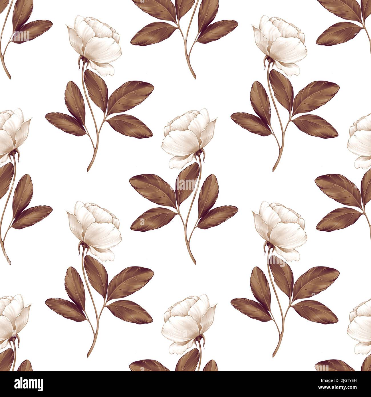 White rose pattern hi-res stock photography and images - Alamy