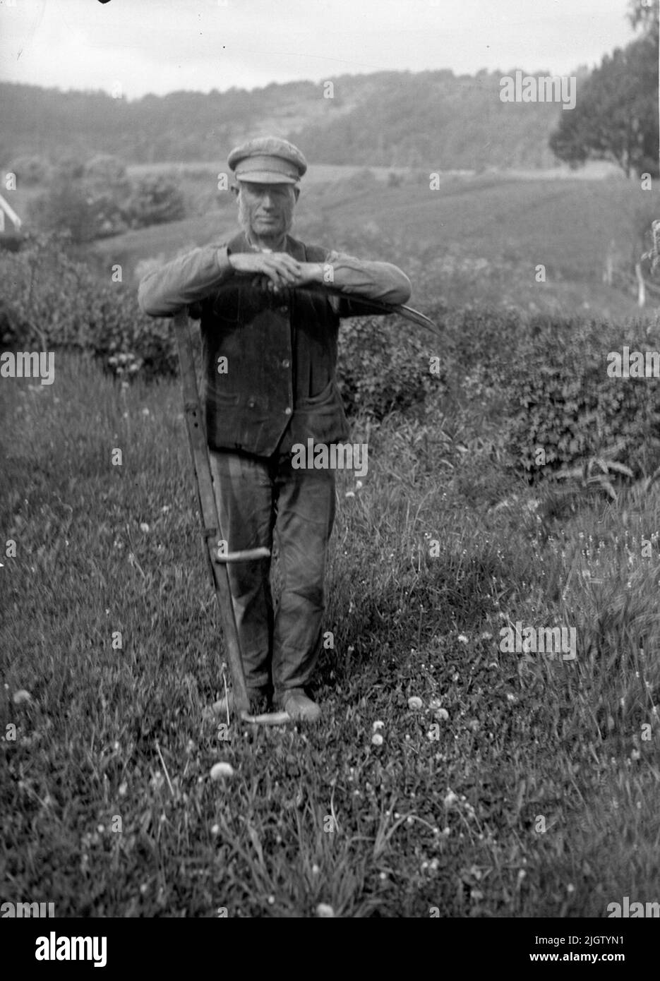 An old profile "old man on Jonshog". He struck road branches and ...