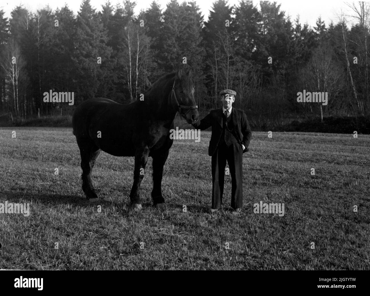 Sweden, Bohuslän, Västra Götaland, Munkedal, Munkedal, Gothenburg and ...