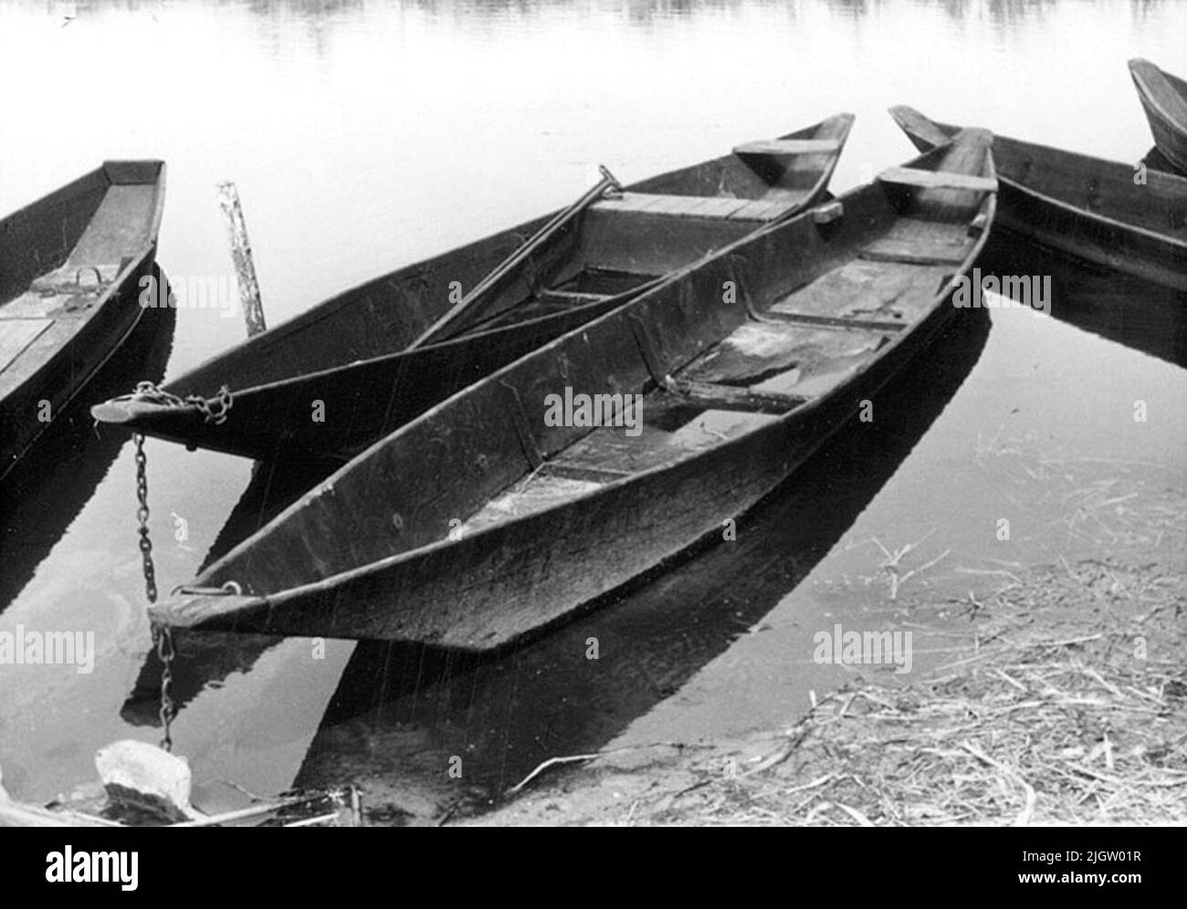 Back photo information Black and White Stock Photos & Images - Alamy