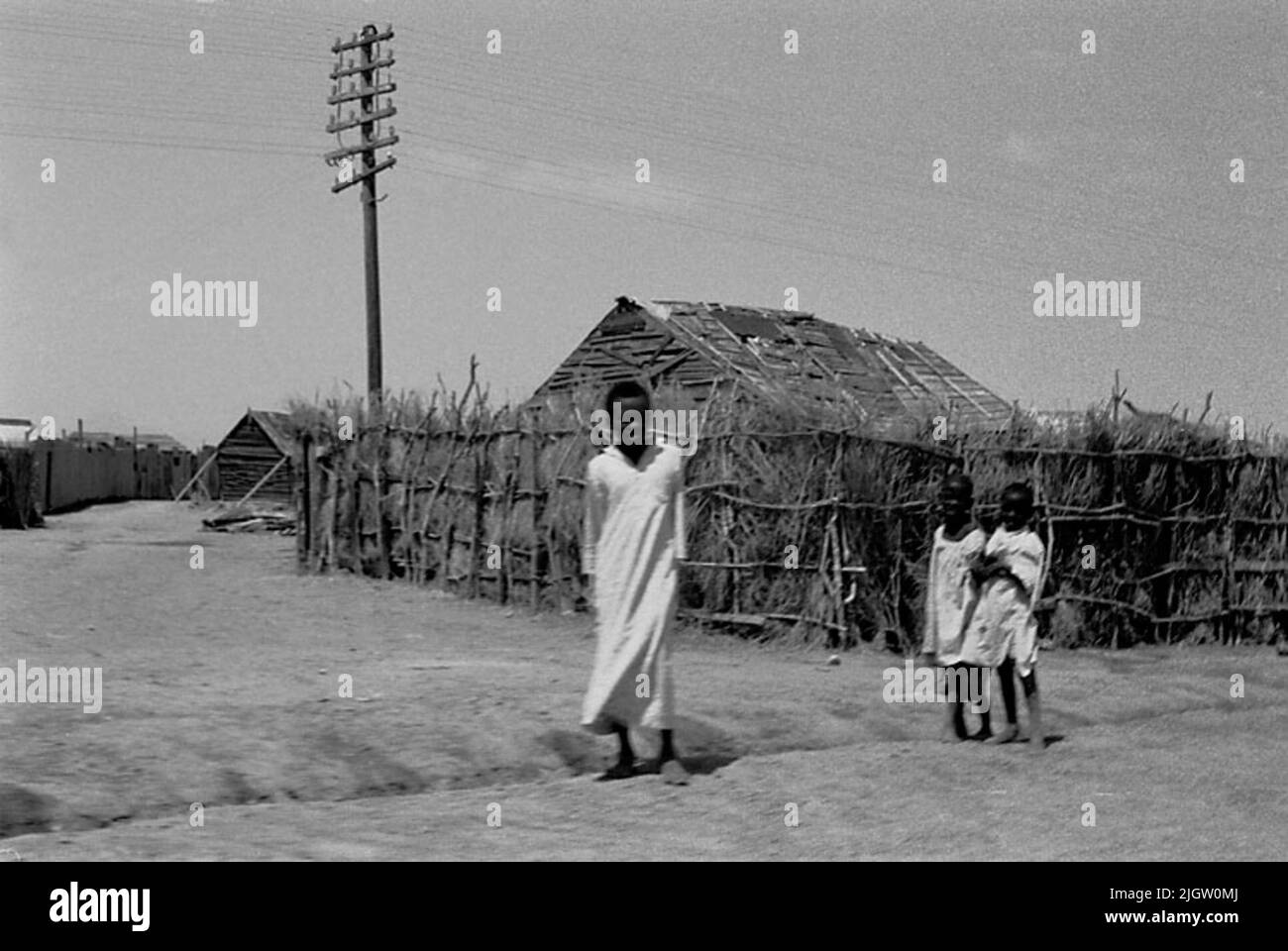 The photo taken about 1961-08-22. Three boys are on a plan outside some ...