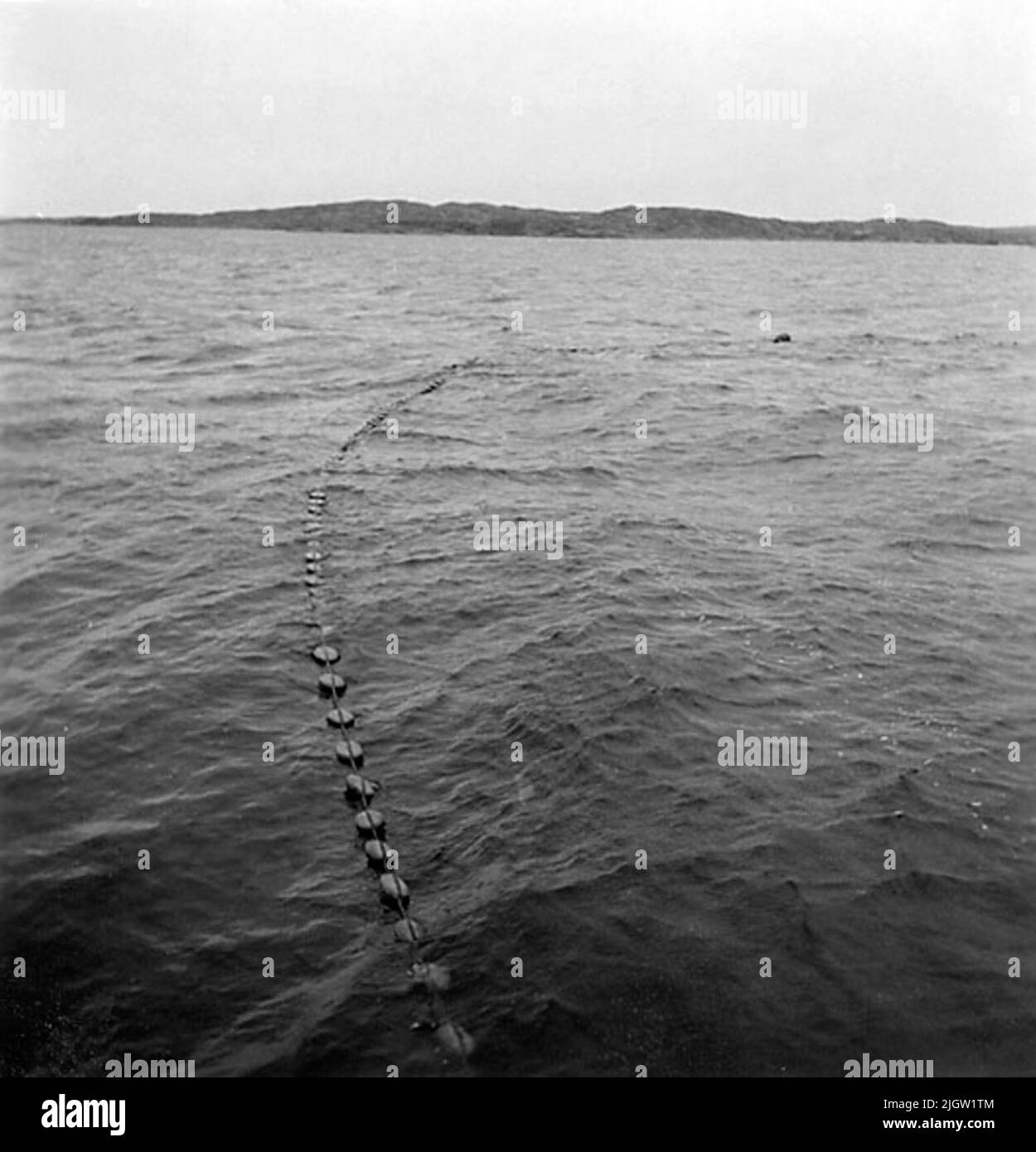 The wad outside, starts to snare. Photo of a snowfall that is outside ...