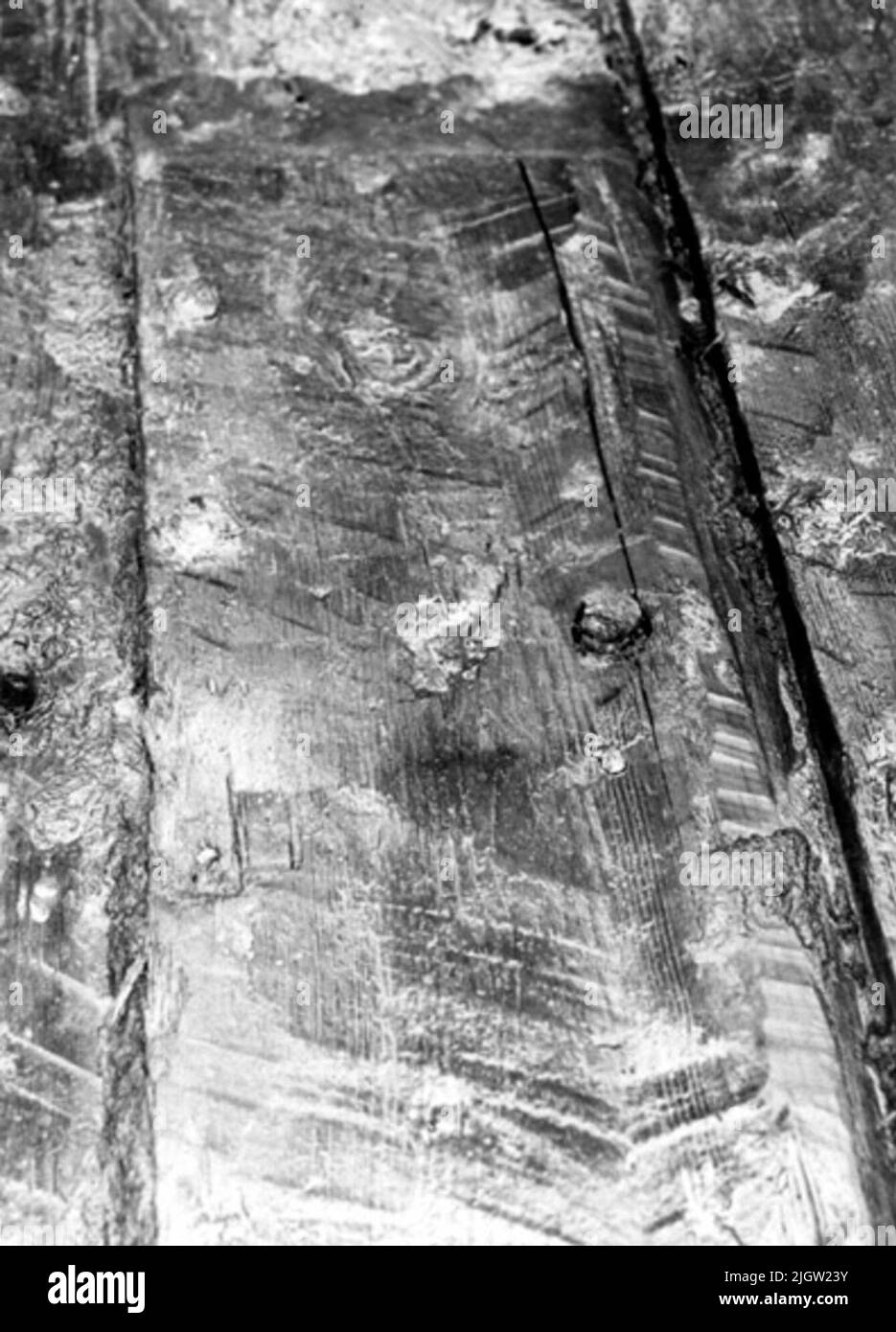 Photographed date Black and White Stock Photos & Images - Alamy