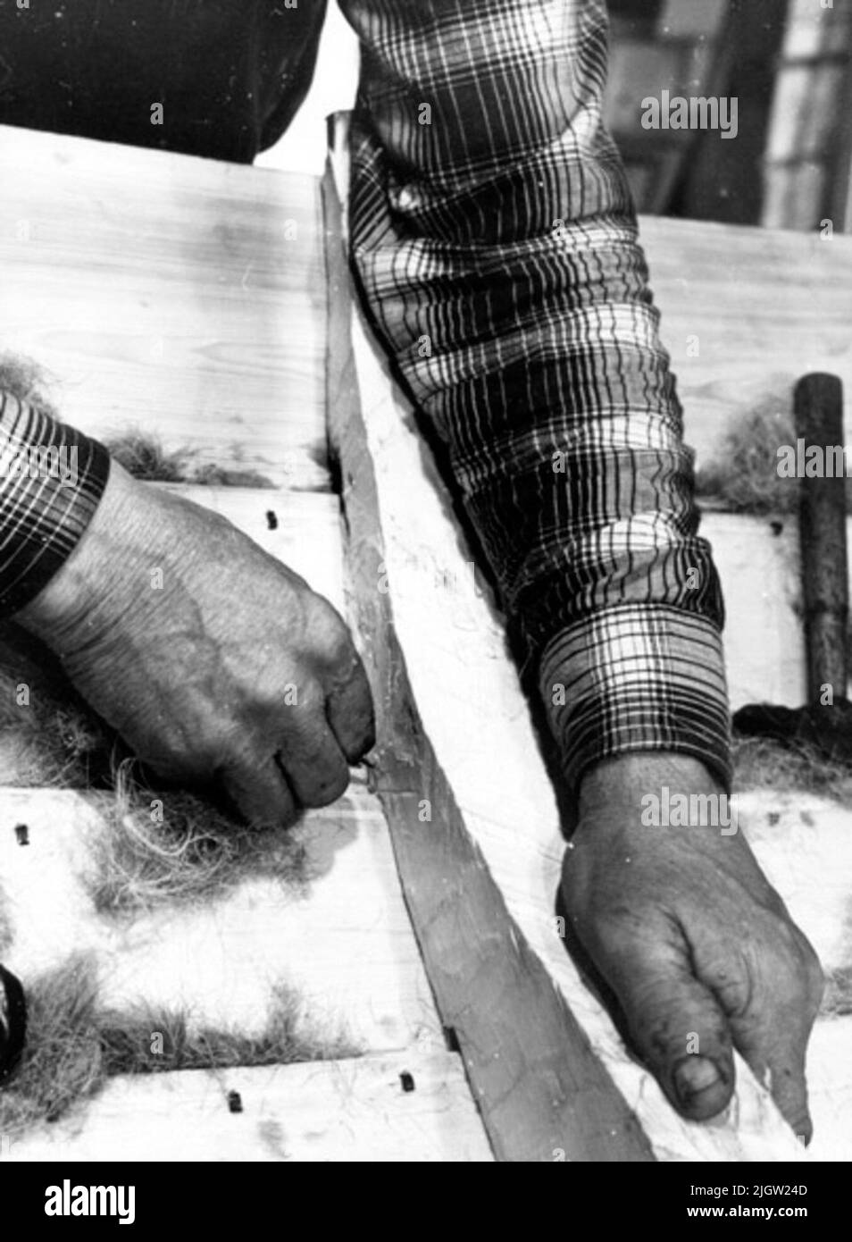 Back of pencil Black and White Stock Photos & Images - Alamy