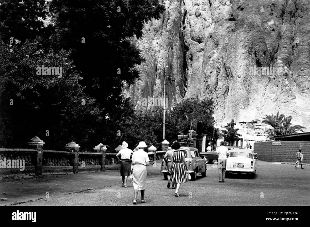 Trees vehicles on street Black and White Stock Photos & Images - Alamy