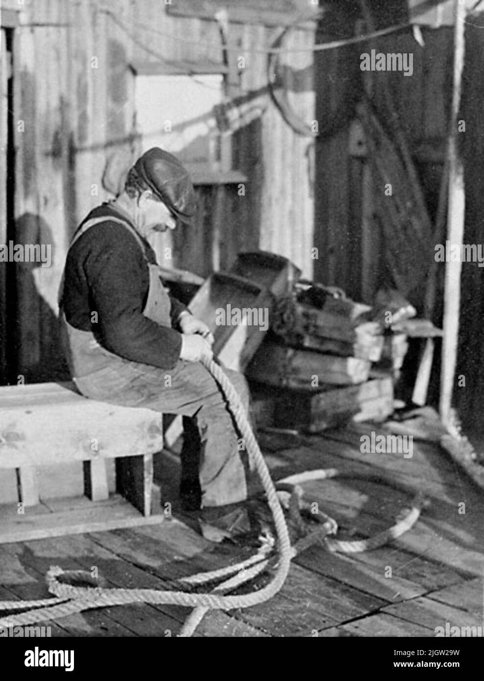 Tamp Black and White Stock Photos & Images - Alamy