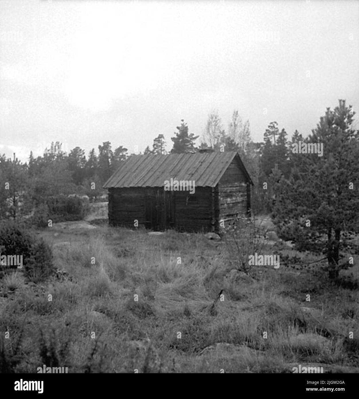 An outbuilding of stock timber is located in a glade in a forest land ...