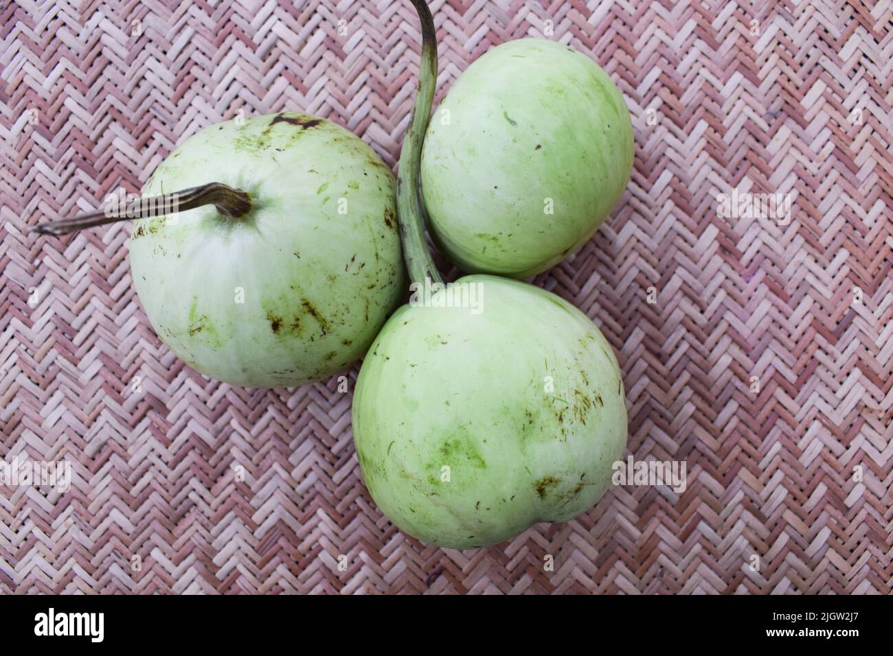 Round bottlegourd vegetable . Indian asian sphere shaped organic squash ...