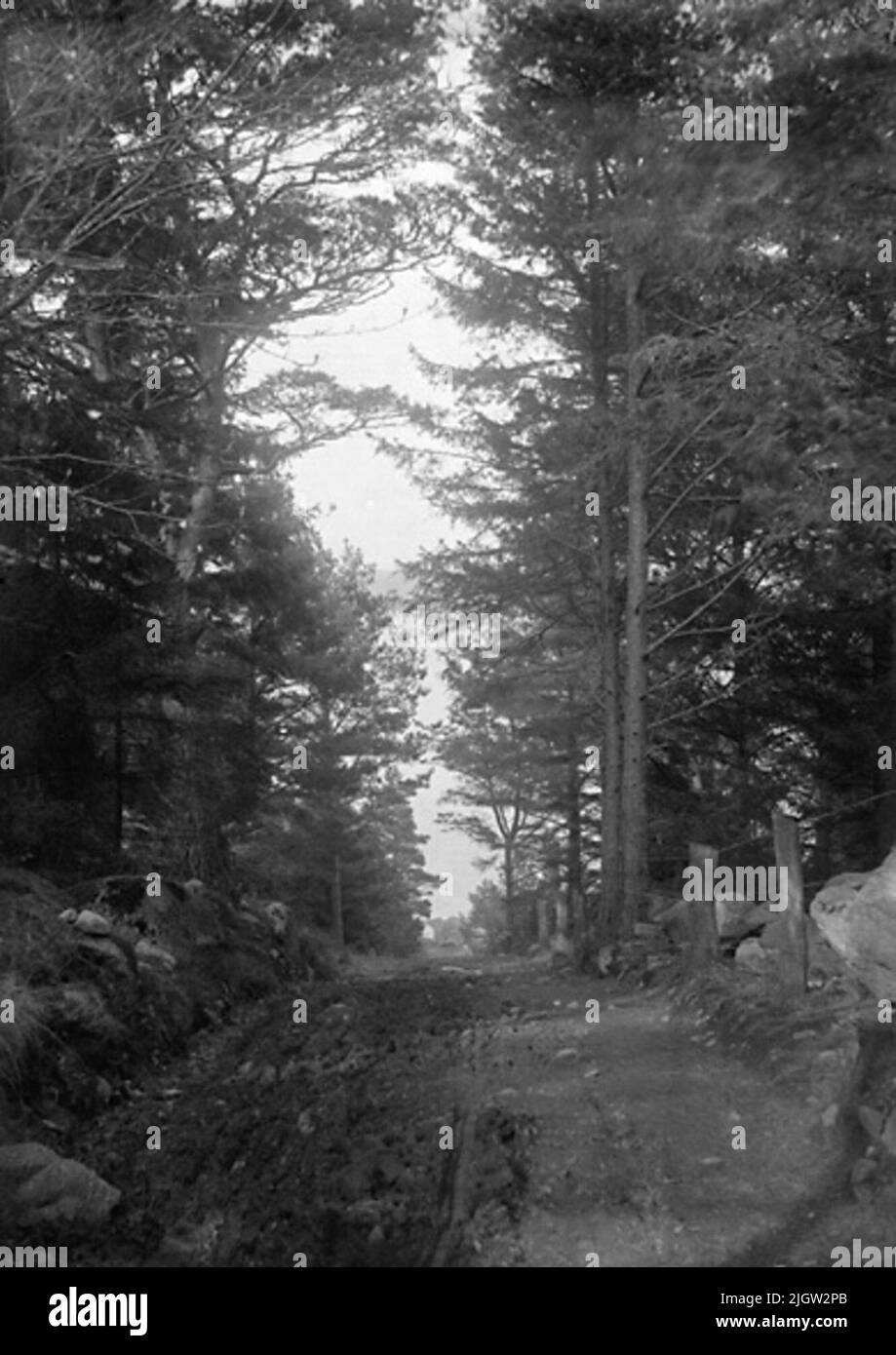 Empty environment road rural scenic Black and White Stock Photos ...