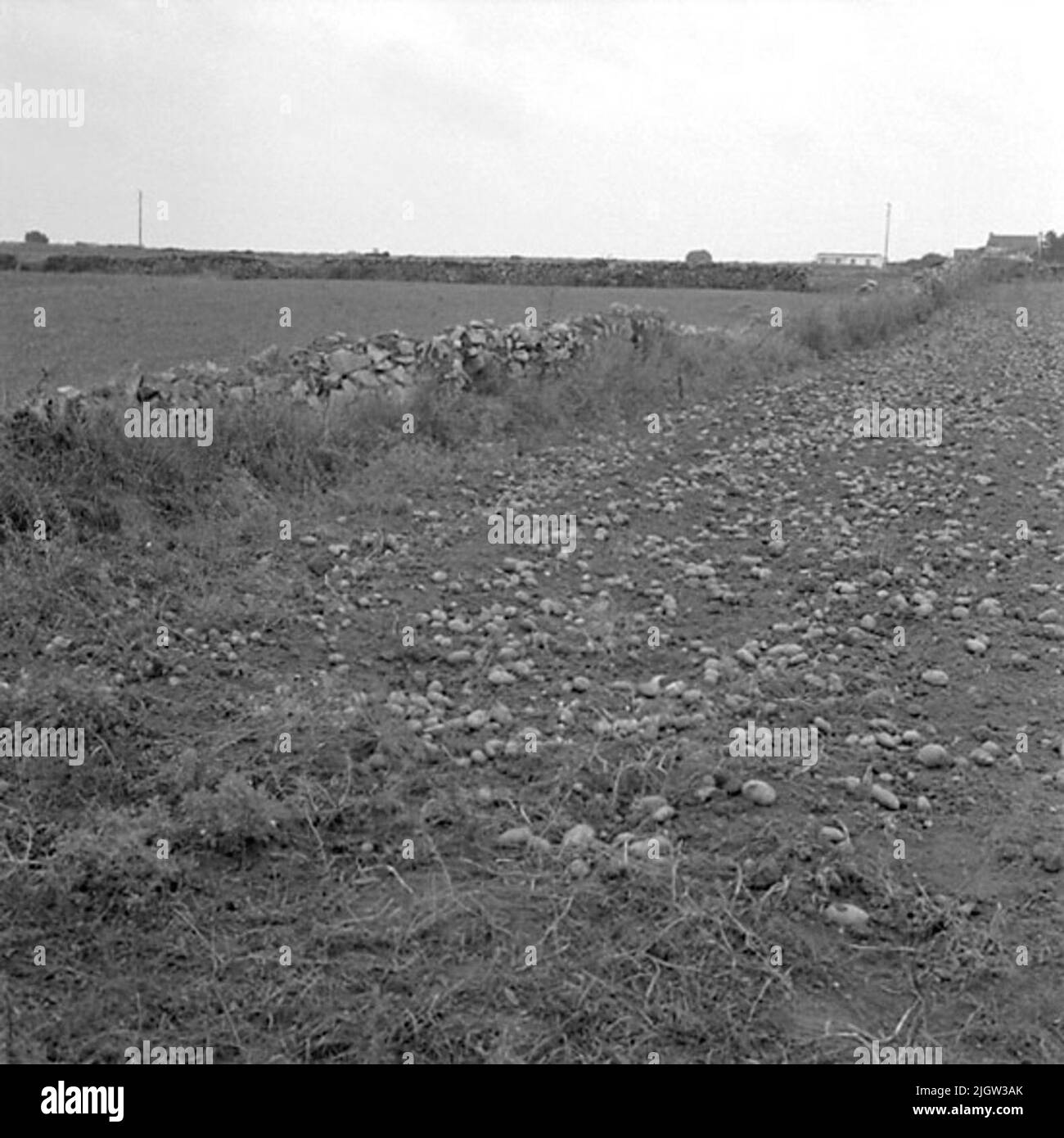 12. France. Photo journal is available at B.M.A. + Photo album.12 ...