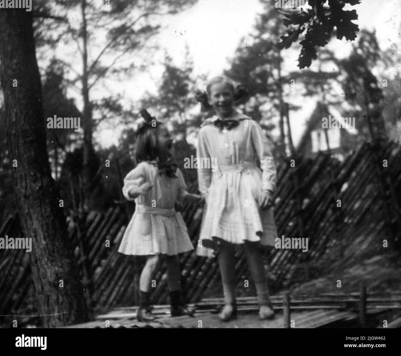 Photography from the Lithander Album family Stock Photo - Alamy