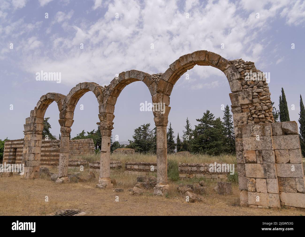 The cardo of the Umayyad city, Beqaa Governorate, Anjar, Lebanon Stock ...