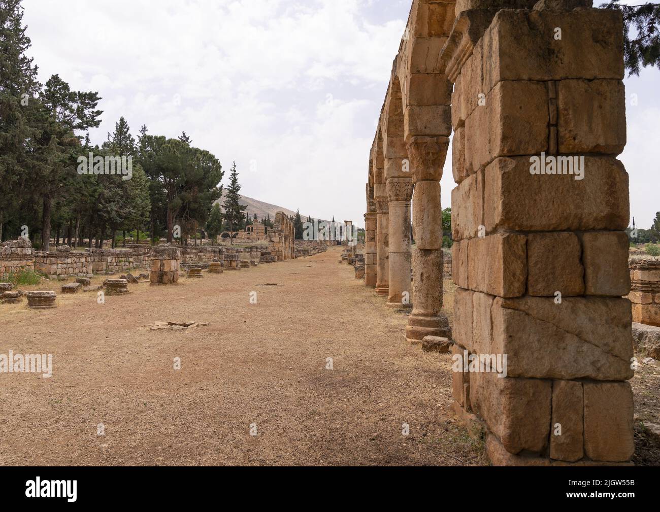 The cardo of the Umayyad city, Beqaa Governorate, Anjar, Lebanon Stock ...