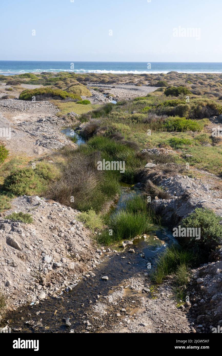 The Rio Loa or Loa River is the only river to empty into the Pacific ...