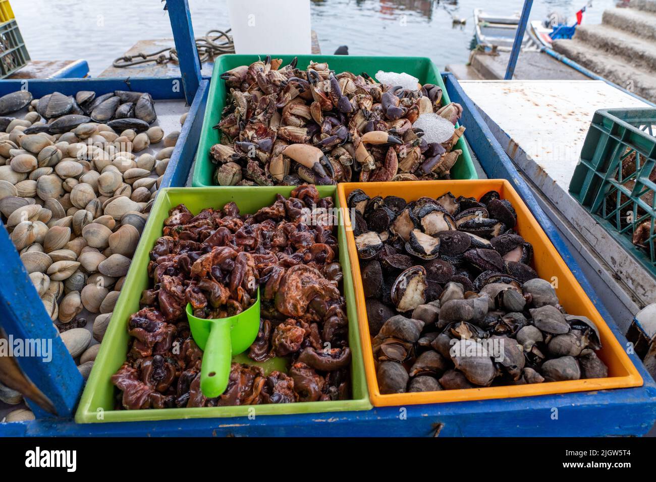 Fresh seafood at a dockside market by the fishing boat basin in ...