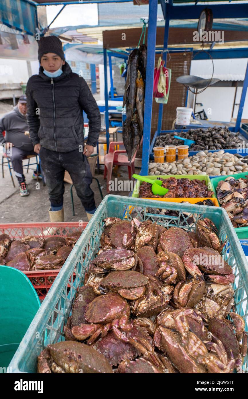 A man sells fresh seafood at a dockside market by the fishing boat ...