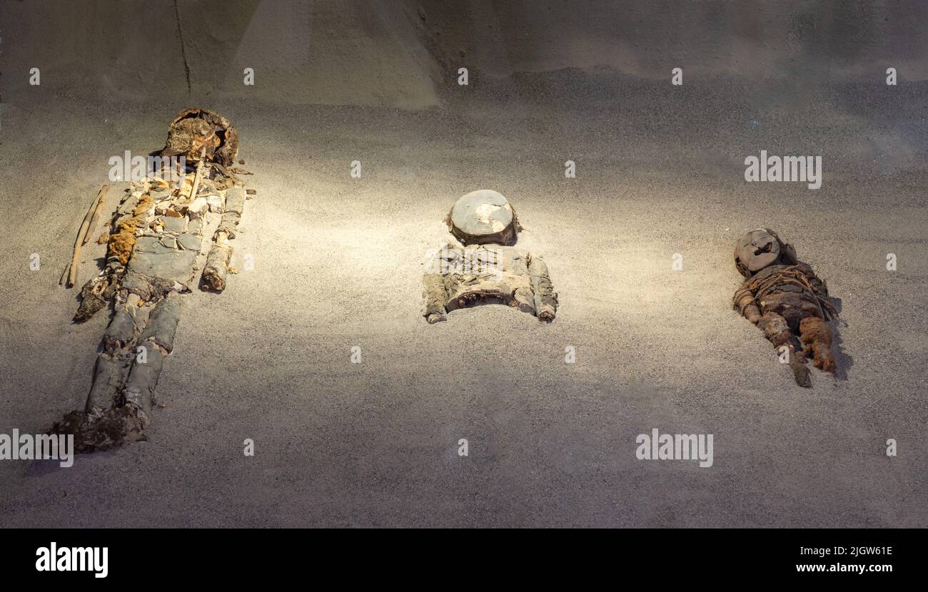 Mummies of the Chinchorro culture in the San Miguel de Azapa ...