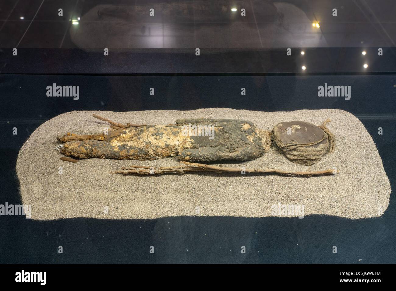 Mummy of an infant from of the Chinchorro culture in the San Miguel de ...