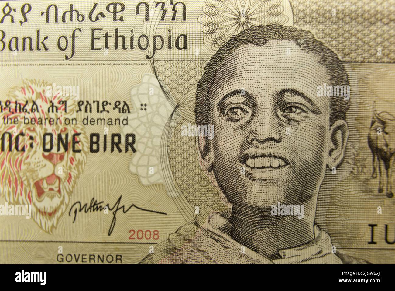 One Ethiopian birr banknote. Portrait of a young Ethiopian. Fragment of ...