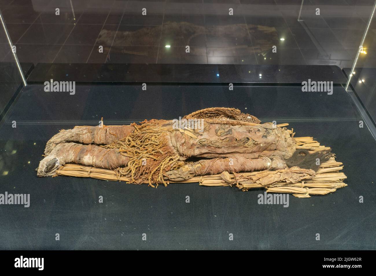 Mummy of an infant from of the Chinchorro culture in the San Miguel de ...