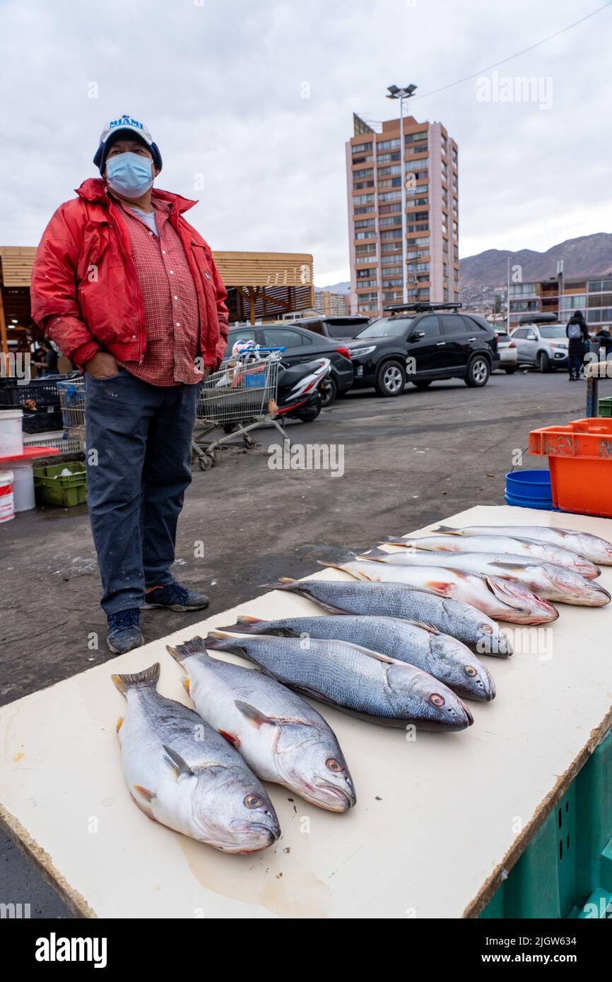A man sells fresh fish at a dockside market by the fishing boat basin ...
